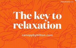 Hotel Card: Canopy by Hilton - The key to relaxation (PLIcards) (Canopy ...