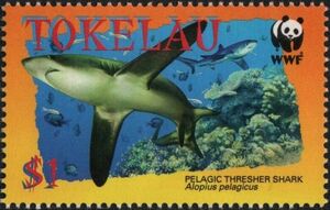 Stamp: Pelagic Thresher Shark (Alopias pelagicus) (Tokelau(Pelagic ...