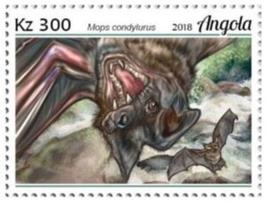 Stamp: Angolan Free-tailed Bat (Mops condylurus) (Angola(Bats (2018 ...