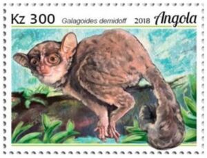 Stamp: Demidoff's Dwarf Galago (Galagoides demidoff) (Angola(Primates ...