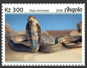 Stamp: Anchieta's Cobra (Naja anchietae) (Angola(Snakes (2018)) Mi:AO ...
