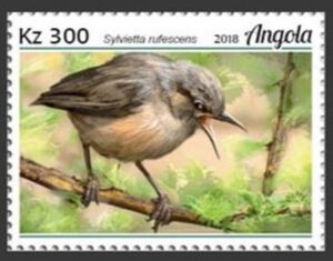 Stamp: Cape Crombec (Sylvietta rufescens) (Angola(Warblers (2018)) Mi ...