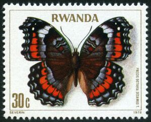 Stamp: Gaudy Commodore (Precis octavia) (Rwanda(Butterflies (1979)) Mi ...