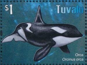 Stamp: Orca (Orcinus orca) (Tuvalu(Whales of the World) Mi:TV 1690,Sn ...