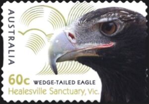 Stamp: Wedge-tailed Eagle (Aquila audax) (Australia(Stamp Collecting ...