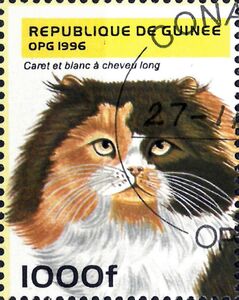 Stamp: Persian three-color (Guinea(Cats (1996)) Mi:GN 1609
