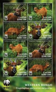 Stamp: Western Bongo (Tragelaphus eurycerus) (Sierra Leone(WWF - Western Bongo (2014)) Mi:SL ...
