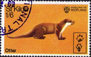 Stamp: Otter (Scotland, St. Kilda: Cinderella Stamps(Animals) Col:ST-KI ...