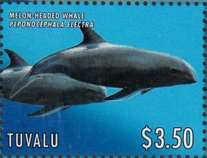 Stamp: Melon-headed Whale (Peponocephala electra) (Tuvalu(Dolphins and ...