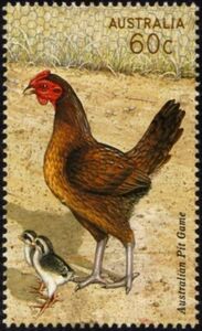 Stamp: Australian Pit Game (Australia(Australian Poultry Breeds) Mi:AU ...