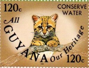 Stamp: Conserve Water (Guyana) (Conservation of Resources) Mi:GY 2195