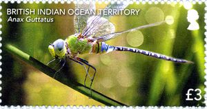 Stamp: Lesser Green Emperor (Anax guttatus) (British Indian Ocean ...