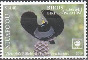 Stamp: Victoria's Riflebird (Ptiloris victoriae) (Niuafo'ou(Birds of ...
