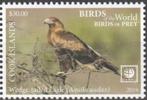 Stamp: Wedge-Tailed Eagle (Aquila audax) (Cook Islands(Birds of the ...