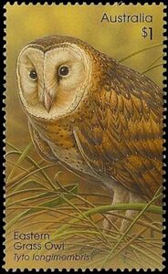 Sello: Eastern Grass Owl (Tyto longimembris) (Australia(Owls: Guardians ...