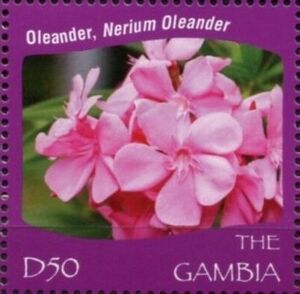 Stamp: Nerium oleander (Gambia(Flowers of the Gambia (2016)) Mi:GM 7270