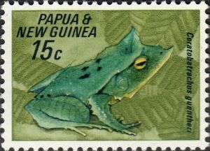 Stamp: Gunther's Triangle Frog (Ceratobatrachus guentheri) (Papua New ...
