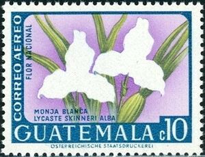 Stamp: White Nun Orchid (Monja blanca) (Guatemala) (Flowers) Mi:GT 775 ...