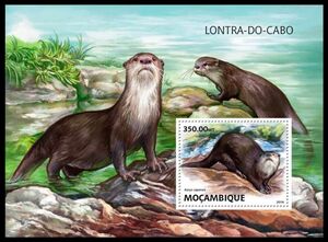 Stamp: Aonyx capensis (Mozambique(WWF - Cape Clawless Otter (2016)) Mi ...