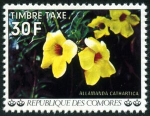 Stamp: Golden Trumpet Flower (Allamanda cathartica) (Comoros(Flora and ...
