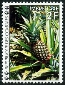 Stamp: Flowers, Pineapple (Comoros(Flora and Fauna (1977)) Mi:KM P7,Sn ...
