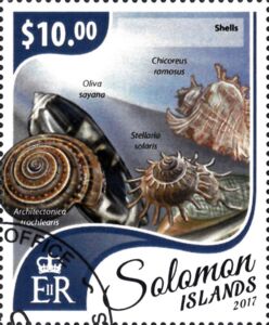 Stamp: Shell and Lighthouses (Solomon Islands(Shells and lighthouses ...