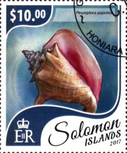 Stamp: Shell and Lighthouses (Solomon Islands(Shells and lighthouses ...