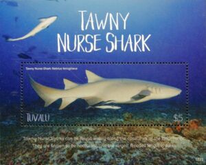 Stamp: Tawny Nurse Shark (Tuvalu(Sharks) Mi:TV BL279,Sn:TV 1431,Yt:TV BF266