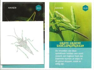 Meal Toy: Grote groene sabelsprinkhaan (Chain store, Europe(Top ...