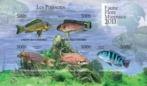 Stamp: Fish (Comoros(Fish (2011)) Mi:KM 3001-3005KB