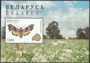 Stamp: Willowherb Hawk-moth (Proserpinus proserpina) (Belarus ...