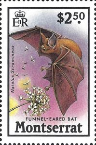 Stamp: Mexican Funnel-eared Bat (Natalus stramineus) (Montserrat(Bats ...