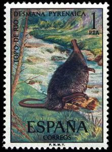 Stamp: Pyrenean Desman (Desmana pyrenaica) (Spain(Spanish Fauna (1972 ...