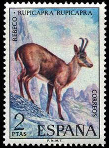 Stamp: Pyrenean Chamois (Rupicapra pyrenaica) (Spain(Hispanic fauna ...