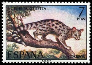 Stamp: Common Genet (Genetta genetta) (Spain(Spanish Fauna (1972)) Mi ...