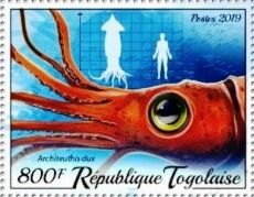 Stamp: Architeuthis dux (Togo(Giant Squid) Mi:TG 10634,Yt:TG 7869,Col ...
