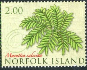 Stamp: King Fern (Marattia salicina) (Norfolk Island(Rare Endemic and ...