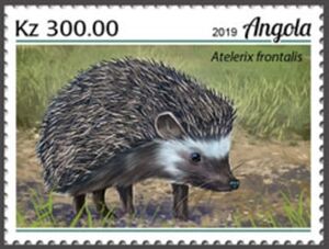 Stamp: Southern African Hedgehog (Atelerix frontalis) (Angola(Southern ...