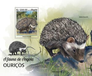 Stamp: Southern African Hedgehog (Atelerix frontalis) (Angola(Southern ...