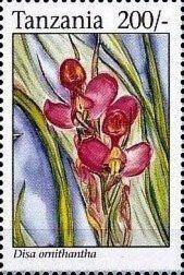 Stamp: Disa ornithantha (Tanzania(Orchids) Mi:TZ 1869,Sn:TZ 1182h,Sg:TZ ...