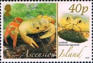 Stamp: Land crab (Gecarcinus lagostoma) (Ascension Island(Animals and ...