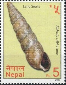 Stamp: Rishetia tribhuvana (Nepal(Land Snails (2019)) Mi:NP 1313,Sn:NP ...