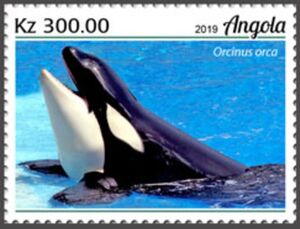 Stamp: Killer Whale (Orcinus orca) (Angola(Orcas (2019)) Sn:AO 1765,Yt ...