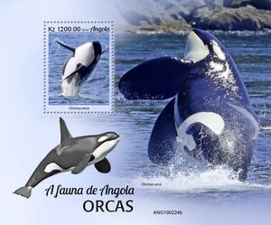 Stamp: Killer Whale (Orcinus orca) (Angola(Orcas (2019)) Sn:AO 1846,Yt ...