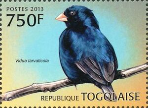 Stamp: Barka Indigobird Vidua larvaticola (Togo(West African Fauna ...