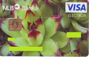 Bank Card: Nlb Visa Cuvarkuca (NLB Banka, SerbiaCol:RS-VE-0009 💳