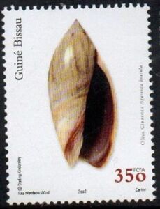 Stamp: Oliva Cinzenta (Agaronia hiatula) (Guinea-Bissau(Shells (2002 ...