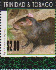 Stamp: Black Agouti (Dasyprocta fuliginosa) (Trinidad and Tobago ...