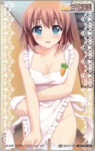 Phonecard: W.L.O. Sekai Renai Kikō / Akabeisoft 2 (NTT, Japan) (110-016-Eroge/Erotic) Col:JP-110 ...