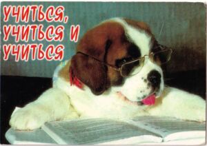 Pocket Calendar: Serbernar (Ukraine(Dogs) Col:UA-2003-Dog-005.01